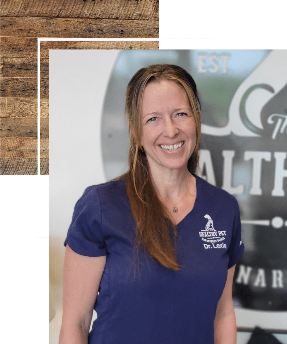 Veterinarian in McDonough GA - Kate McGowan DVM