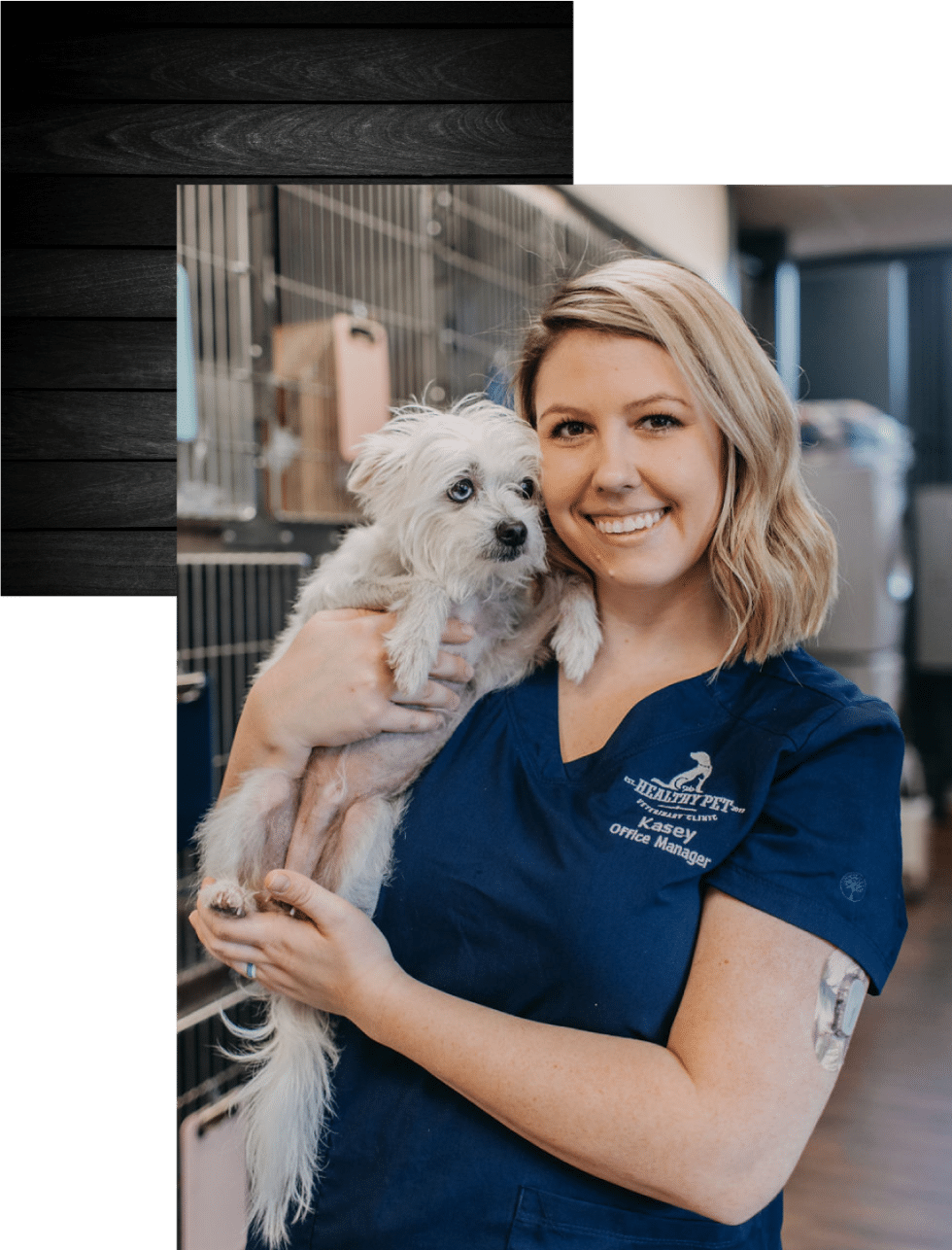 Vet Hospital in McDonough GA - The Healthy Pet Veterinary Clinic